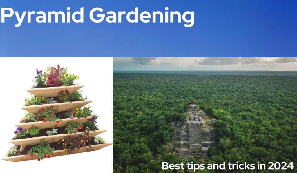 Pyramid Gardening - Best tips and tricks in 2025 - Digital Marketing ...